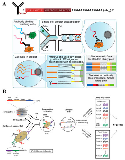 Single-Cell RNA Sequencing and Its Combination with Protein and DNA ...