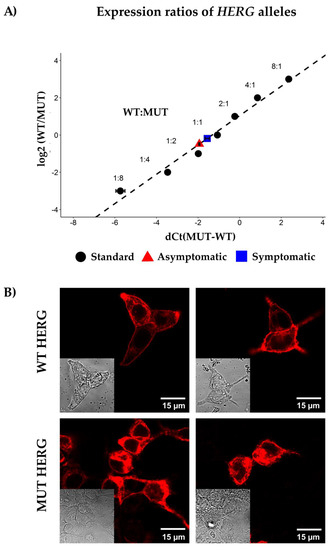 hiPSC-Derived Cardiomyocyte Model of LQT2 Syndrome Derived from ...