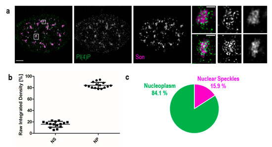Super-Resolution Localisation of Nuclear PI(4)P and Identification of ...