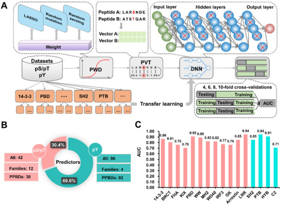GPS-PBS: A Deep Learning Framework to Predict Phosphorylation Sites ...