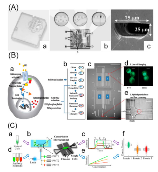 Advances of Single-Cell Protein Analysis