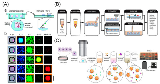 Advances of Single-Cell Protein Analysis