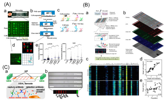 Advances of Single-Cell Protein Analysis