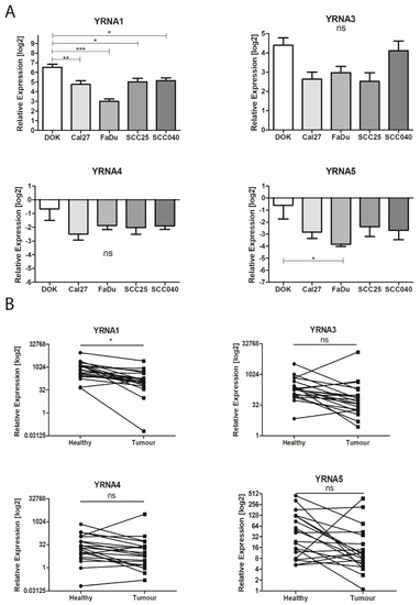 YRNAs: New Insights and Potential Novel Approach in Head and Neck ...