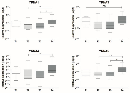 YRNAs: New Insights and Potential Novel Approach in Head and Neck ...