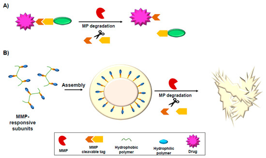 Metalloproteinases and Their Inhibitors: Potential for the Development ...