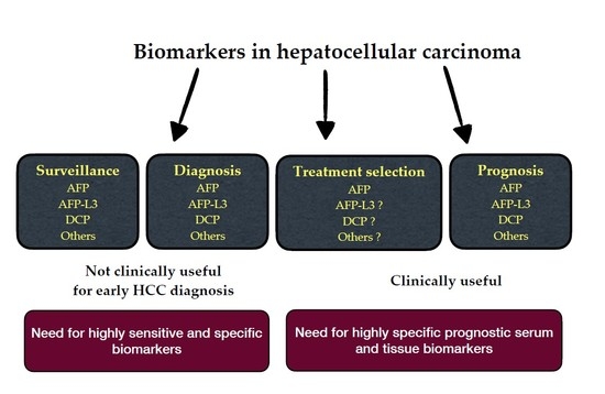 Cells | Free Full-Text | Biomarkers in Hepatocellular Carcinoma ...