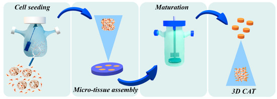 Intrinsic Abnormalities of Cystic Fibrosis Airway Connective Tissue ...