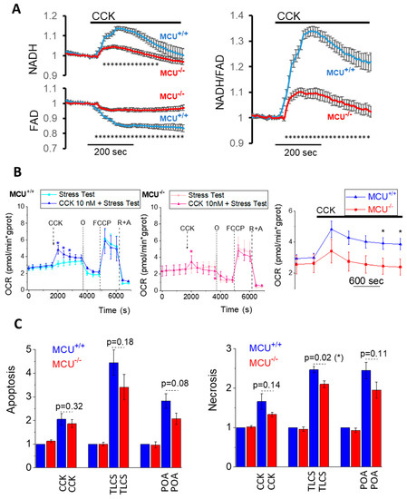 Cells | Free Full-Text | Knockout of the Mitochondrial Calcium ...