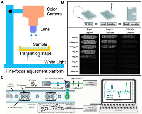 Cells | Free Full-Text | The Role of Single-Cell Technology in the ...