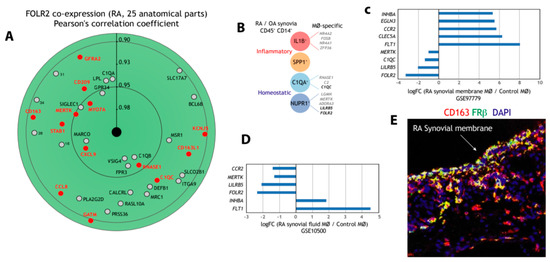 Folate Receptor β (FRβ) Expression in Tissue-Resident and Tumor ...