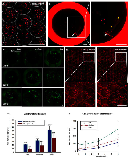 A Microfluidic Single-Cell Cloning (SCC) Device for the Generation of ...