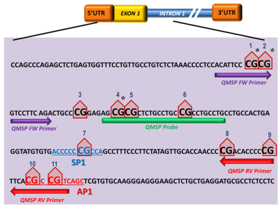 Potential Prognostic Role of SPARC Methylation in Non-Small-Cell Lung ...