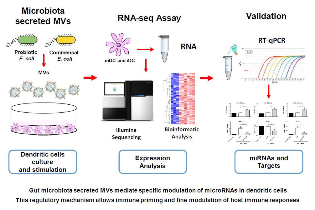 Cells | Free Full-Text | Transcriptomic microRNA Profiling of Dendritic ...