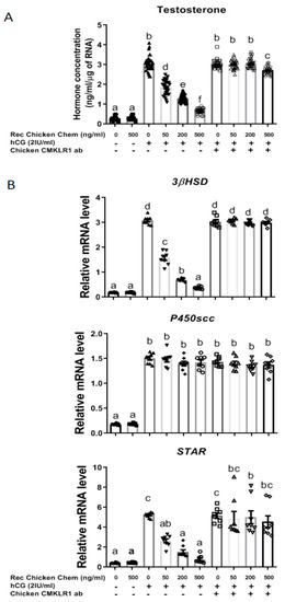 Chemerin Impairs In Vitro Testosterone Production, Sperm Motility, and ...