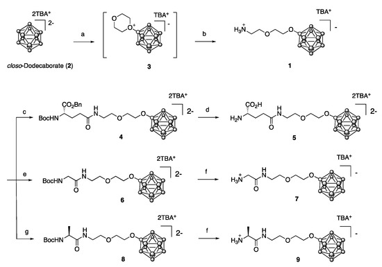 Water-Soluble closo-Docecaborate-Containing Pteroyl Derivatives ...