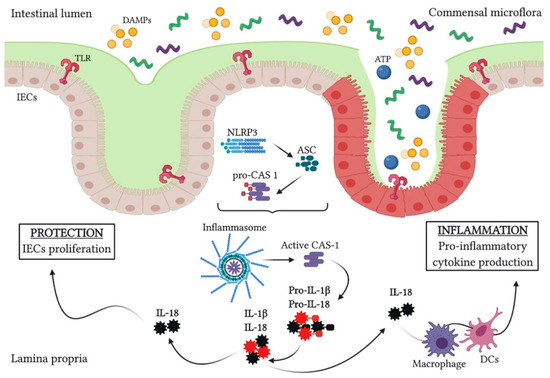 Frontiers Mechanisms Of Immune Checkpoint, 55% OFF Frontiers Mechanisms Of Immune Checkpoint, 55% OFF
