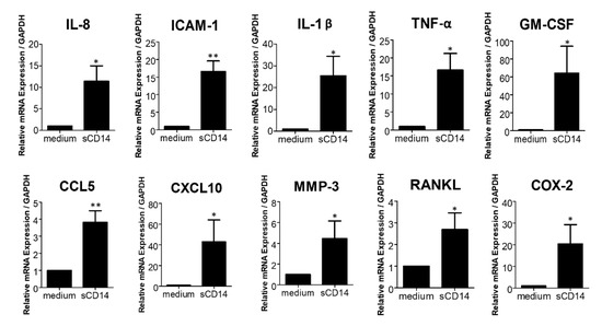 Soluble CD14 Induces Pro-inflammatory Cytokines in Rheumatoid Arthritis ...