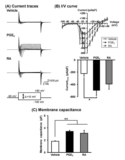 Highly Efficient Conversion of Motor Neuron-Like NSC-34 Cells into ...