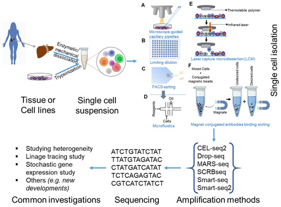Biological and Medical Importance of Cellular Heterogeneity Deciphered by Single-Cell RNA Sequencing