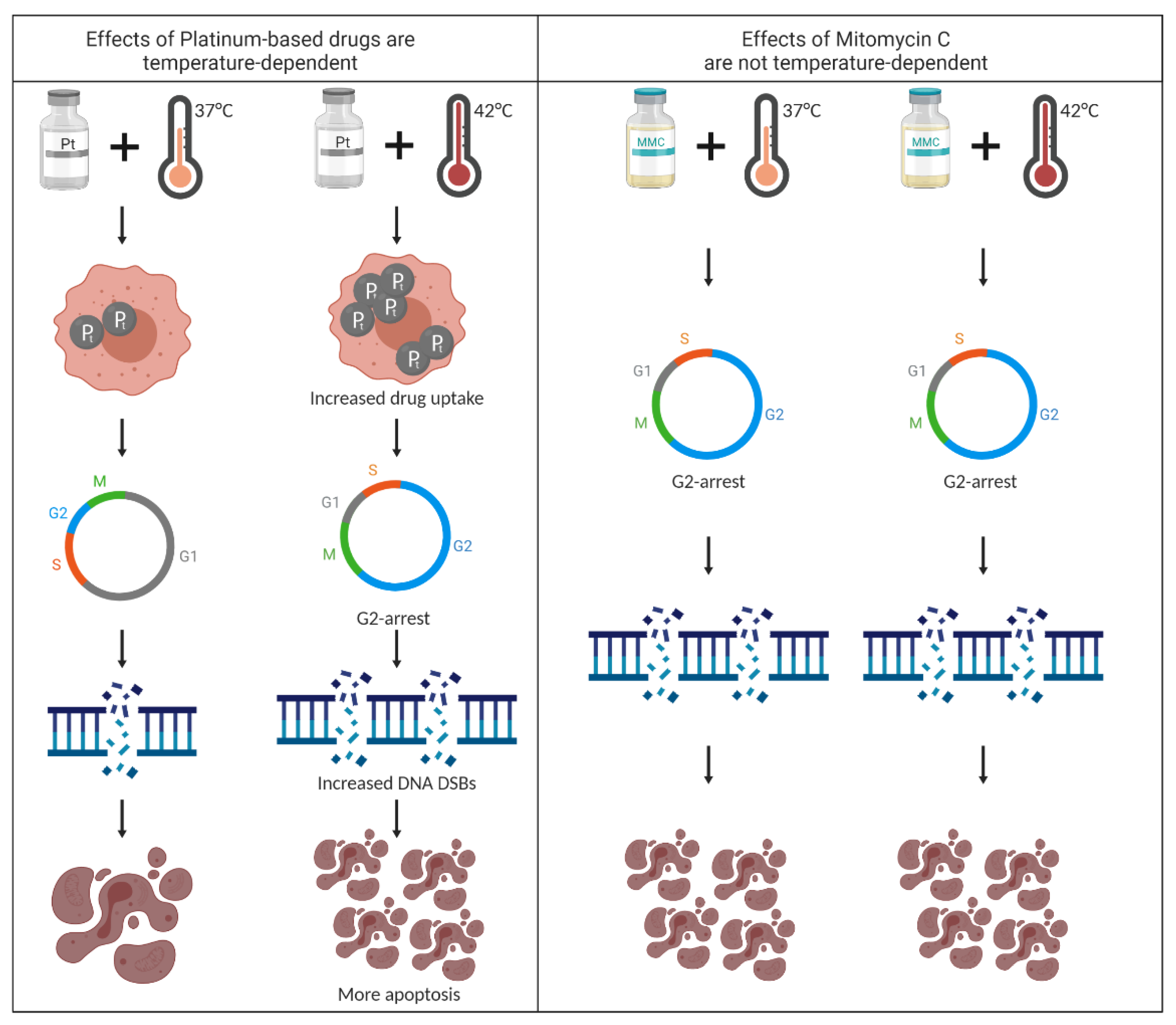 The Temperature-Dependent Effectiveness of Platinum-Based Drugs ...