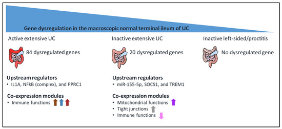 Molecular Changes in the Non-Inflamed Terminal Ileum of Patients with ...