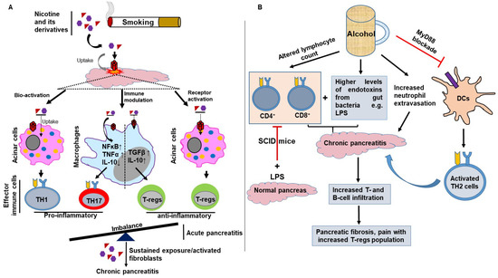 Cells | Free Full-Text | Alcohol and Smoking Mediated Modulations in ...