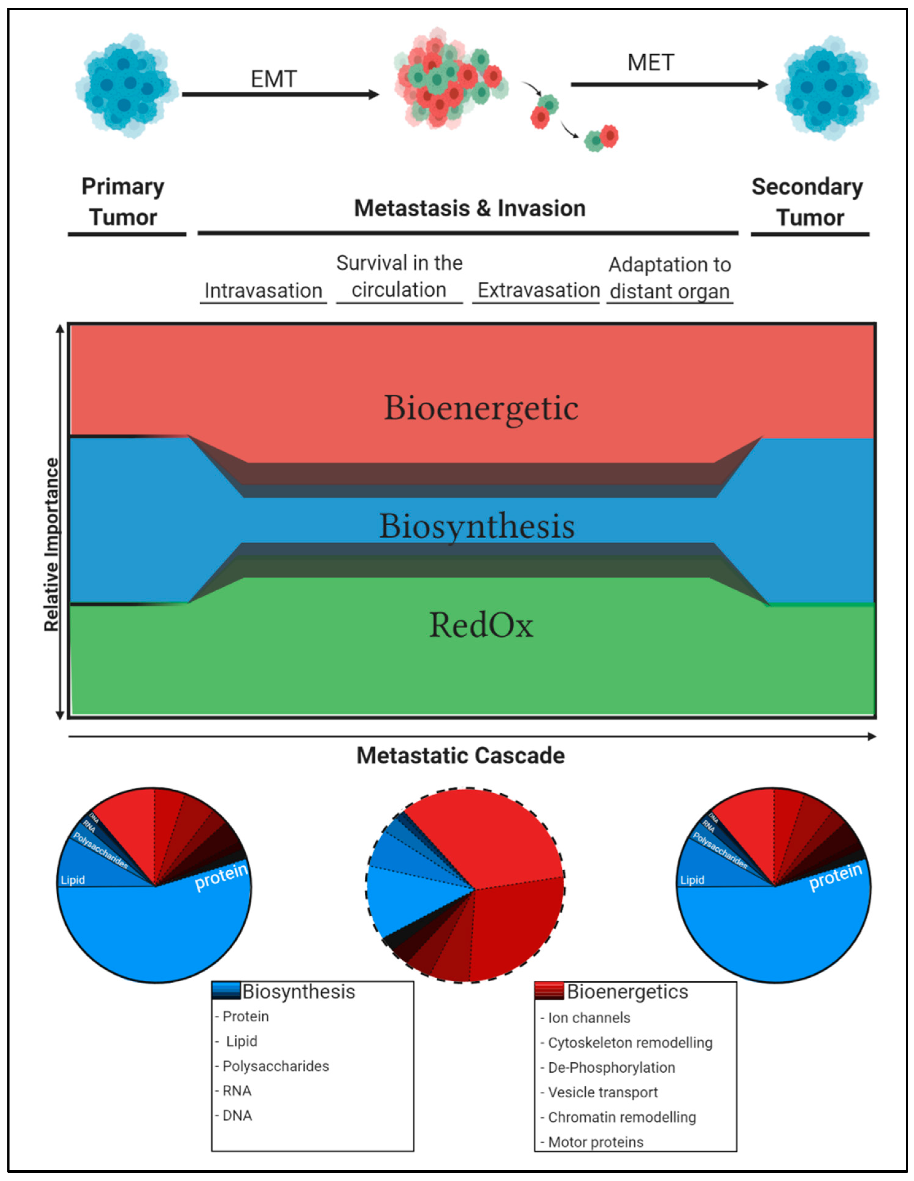 Metabolic Potential of Cancer Cells in Context of the Metastatic Cascade