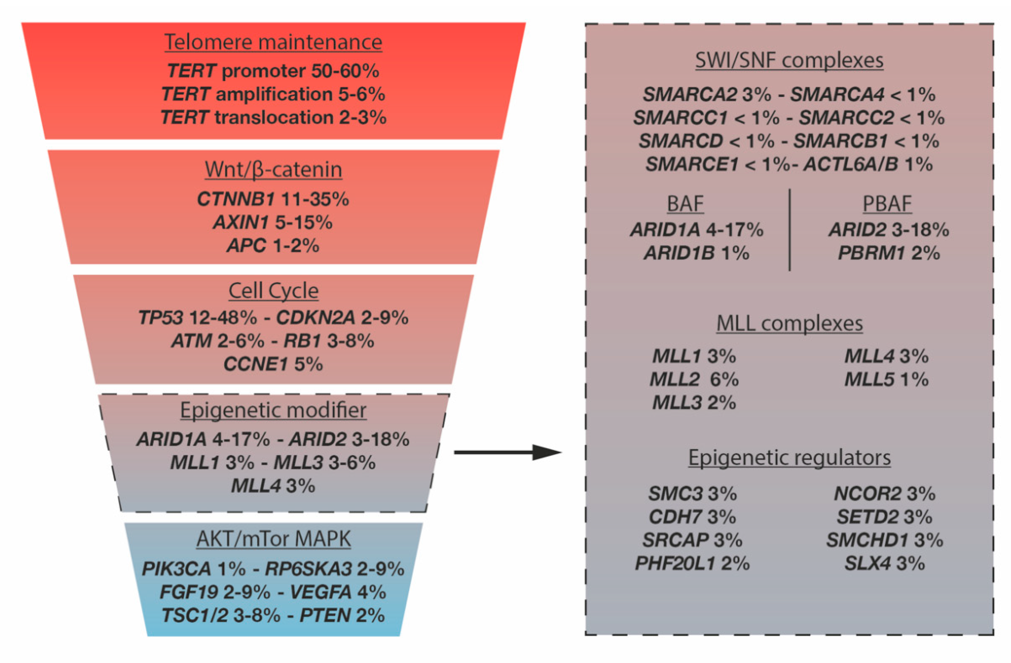 ARID2 Chromatin Remodeler in Hepatocellular Carcinoma