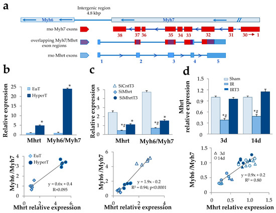 T3 Critically Affects the Mhrt/Brg1 Axis to Regulate the Cardiac MHC ...