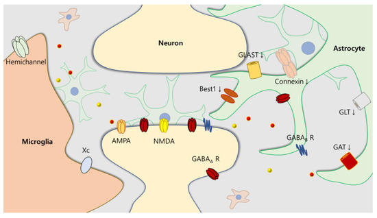 Neuron-Glia Interactions in Neurodevelopmental Disorders