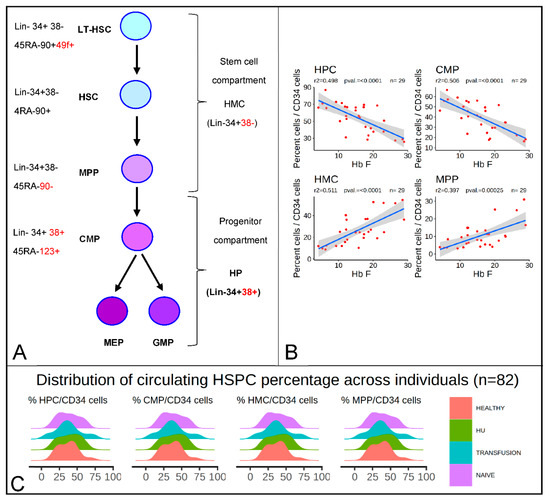 Cells | Free Full-Text | HbF Levels in Sickle Cell Disease Are ...