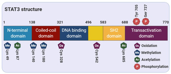Perspectives Regarding the Intersections between STAT3 and Oxidative ...