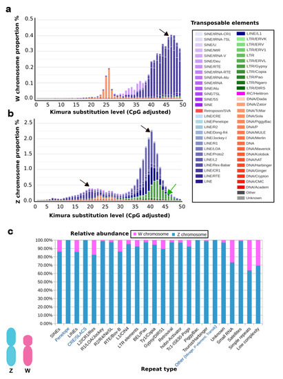 Snake W Sex Chromosome: The Shadow of Ancestral Amniote Super-Sex ...