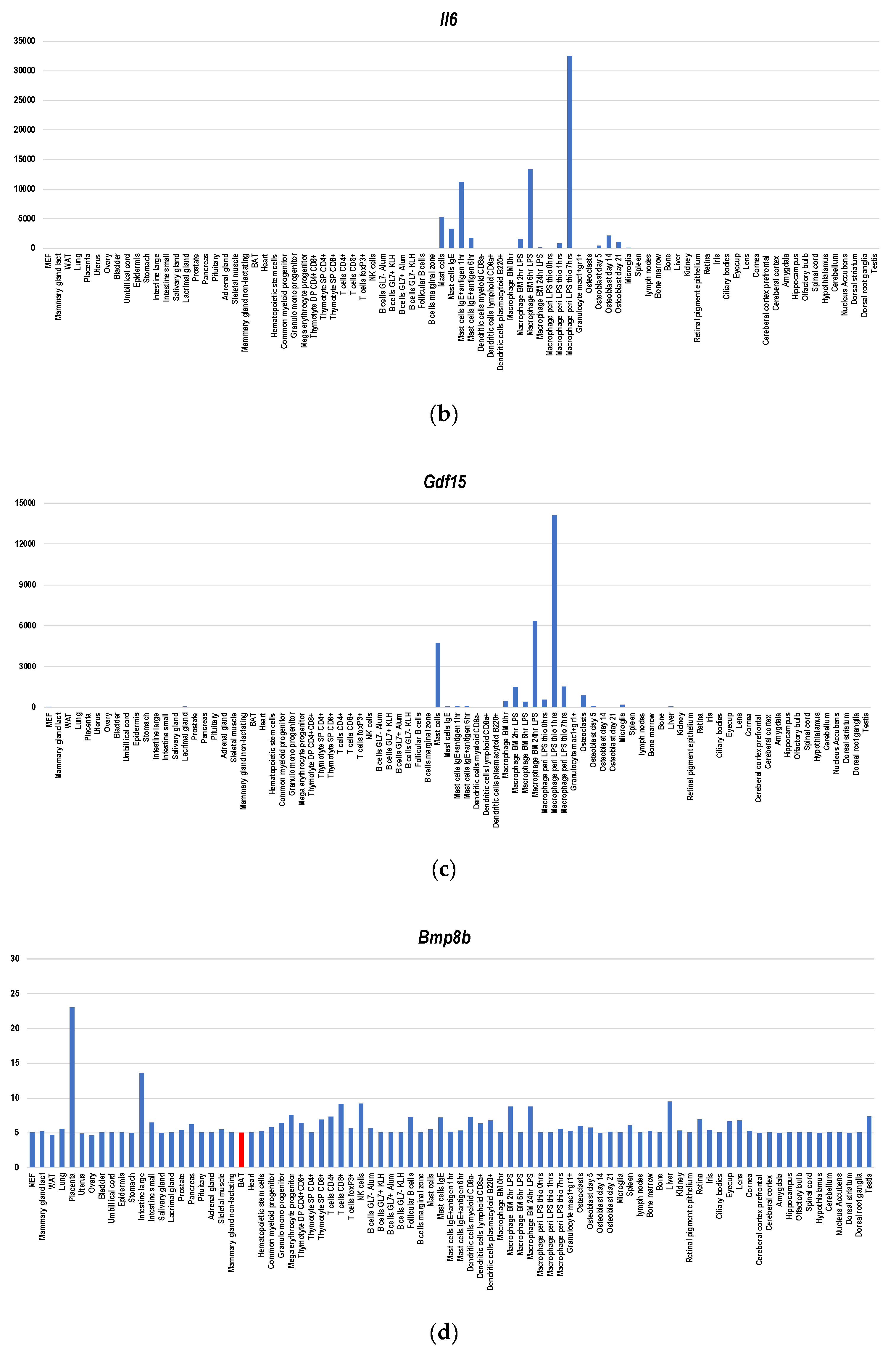 The Remaining Mysteries about Brown Adipose Tissues