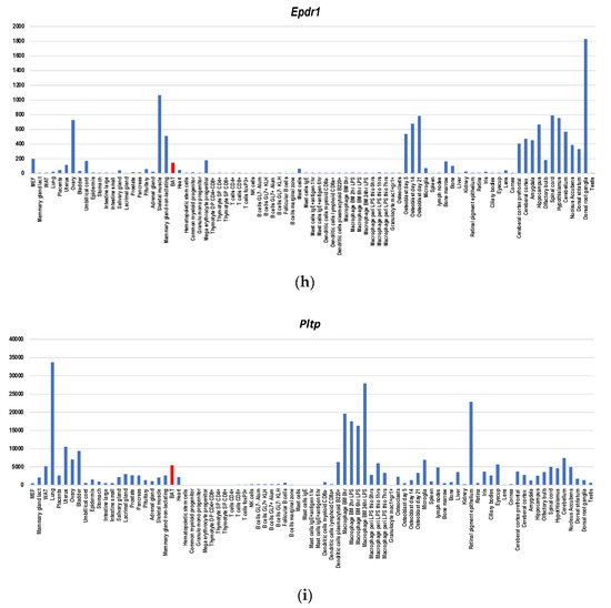 Cells | Free Full-Text | The Remaining Mysteries about Brown Adipose ...