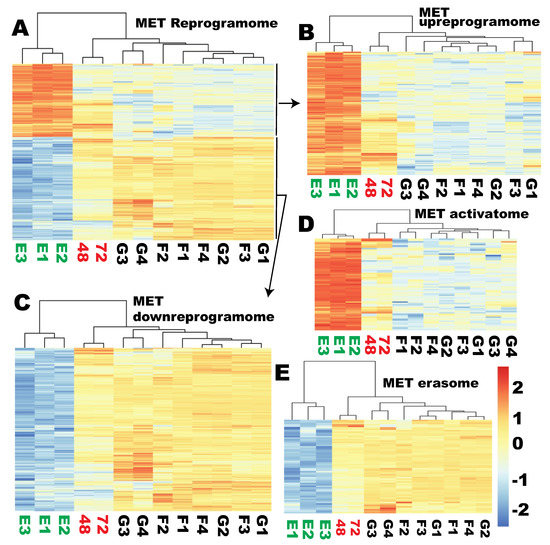 Quick, Coordinated and Authentic Reprogramming of Ribosome Biogenesis ...