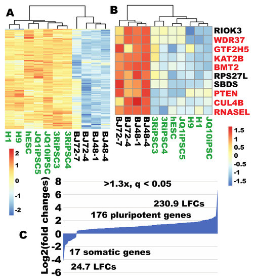 Quick, Coordinated and Authentic Reprogramming of Ribosome Biogenesis ...