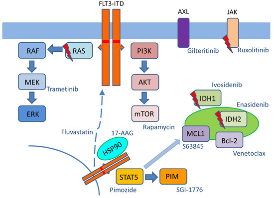 Molecular Mechanisms of Resistance to FLT3 Inhibitors in Acute Myeloid ...