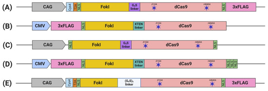 CRISPR FokI Dead Cas9 System: Principles and Applications in Genome ...