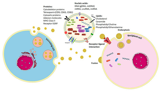 Stem Cell-Derived Exosomes as Therapeutic Approach for ...