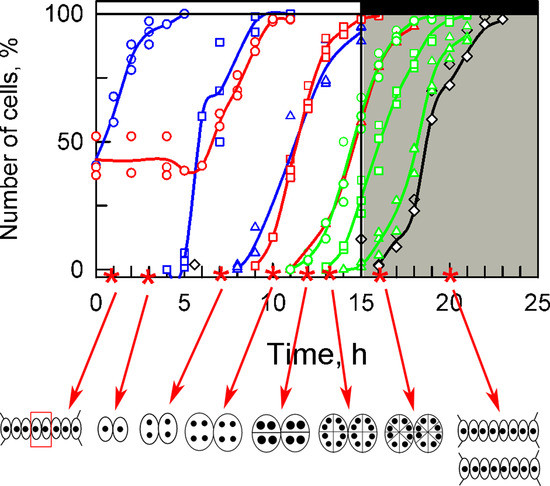 Comparing Biochemical and Raman Microscopy Analyses of Starch, Lipids ...