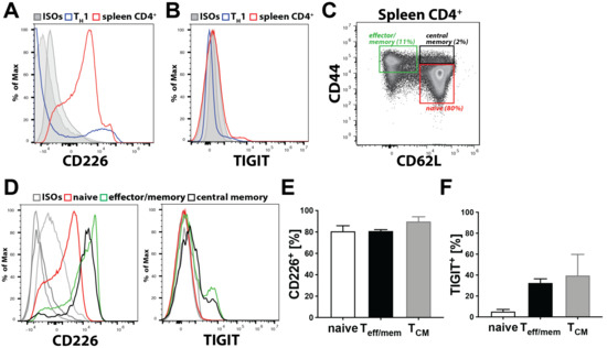 CD112 Regulates Angiogenesis and T Cell Entry into the Spleen