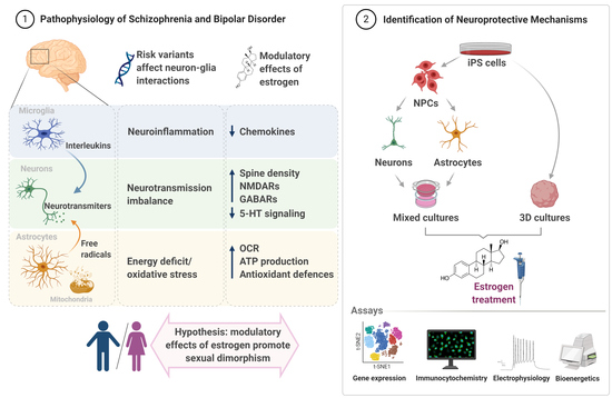 Cells | Special Issue : Neuron-Glia Interactions