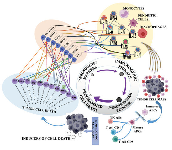 Natural Compounds of Marine Origin as Inducers of Immunogenic Cell ...