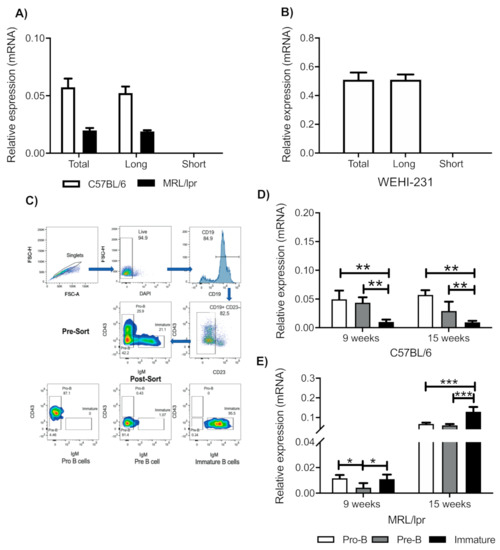Cells | Free Full-Text | Prolactin Rescues Immature B Cells from ...