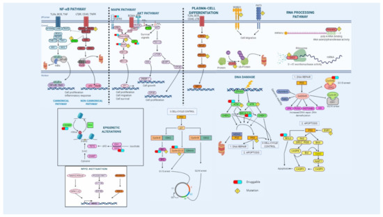 Genetic Abnormalities in Multiple Myeloma: Prognostic and Therapeutic ...
