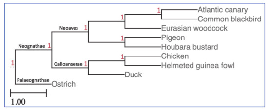 Comparative Mapping of the Macrochromosomes of Eight Avian Species ...