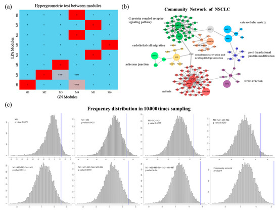 Knowledge-Guided “Community Network” Analysis Reveals the Functional ...