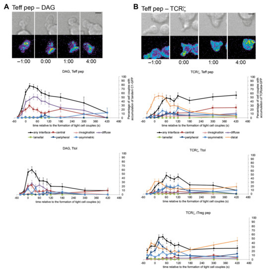 A LAT-Based Signaling Complex in the Immunological Synapse as ...